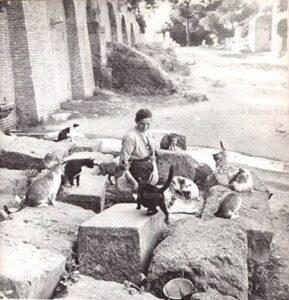 The Italian Spirit Tutoring – Learn Real Italian from a Real Italian ...